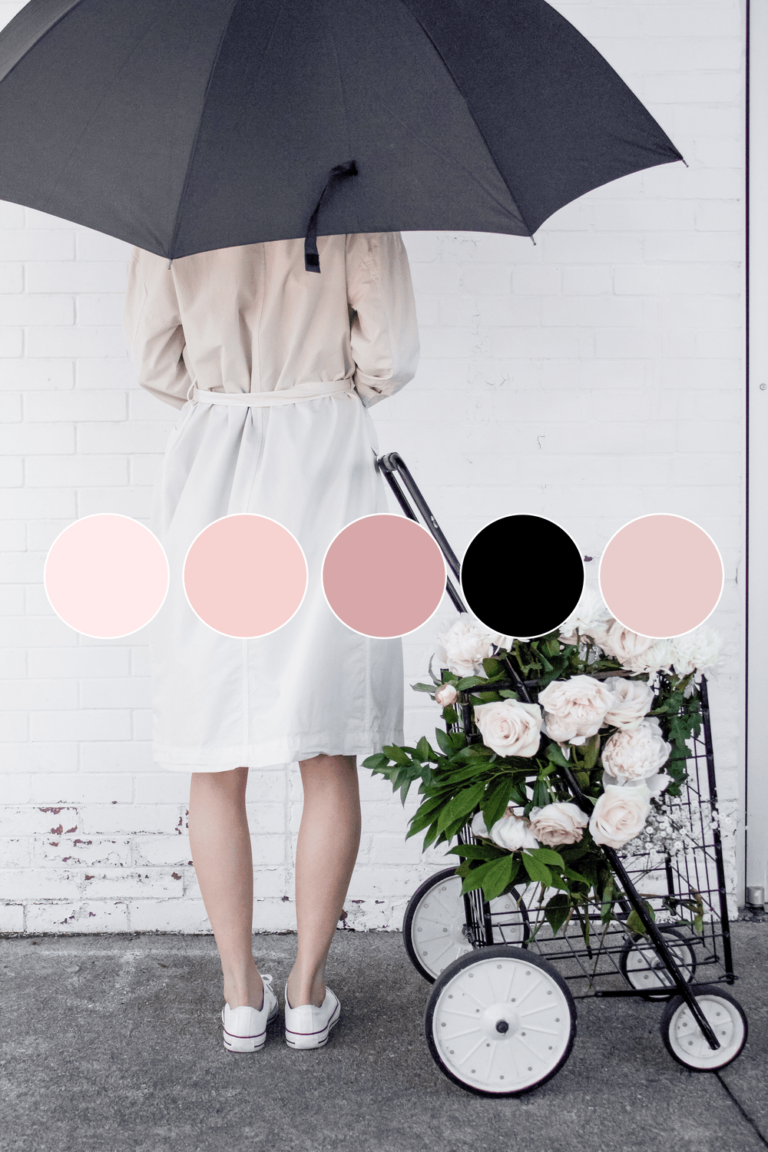 25+ Cute & Girly Color Palettes for Your Website + Color Codes!