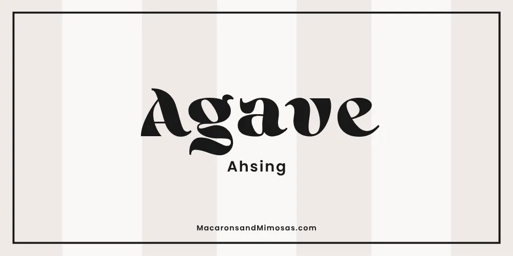 Canva Fonts That Look Like a Real Logo - Macarons & Mimosas