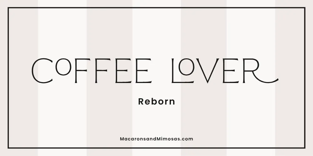 Canva Fonts That Look Like a Real Logo - Macarons & Mimosas